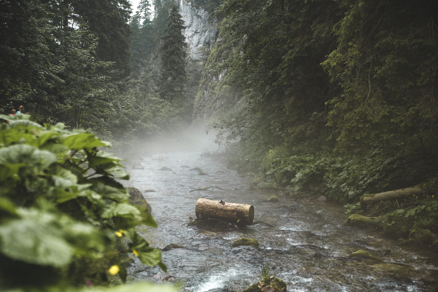Kościelisko Kiry - najlepsza baza wypadowa w Tatry Zachodnie